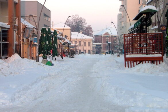 Павков: Подстичемо куповину електричних аутомобила, субвенције до 5.000 ...